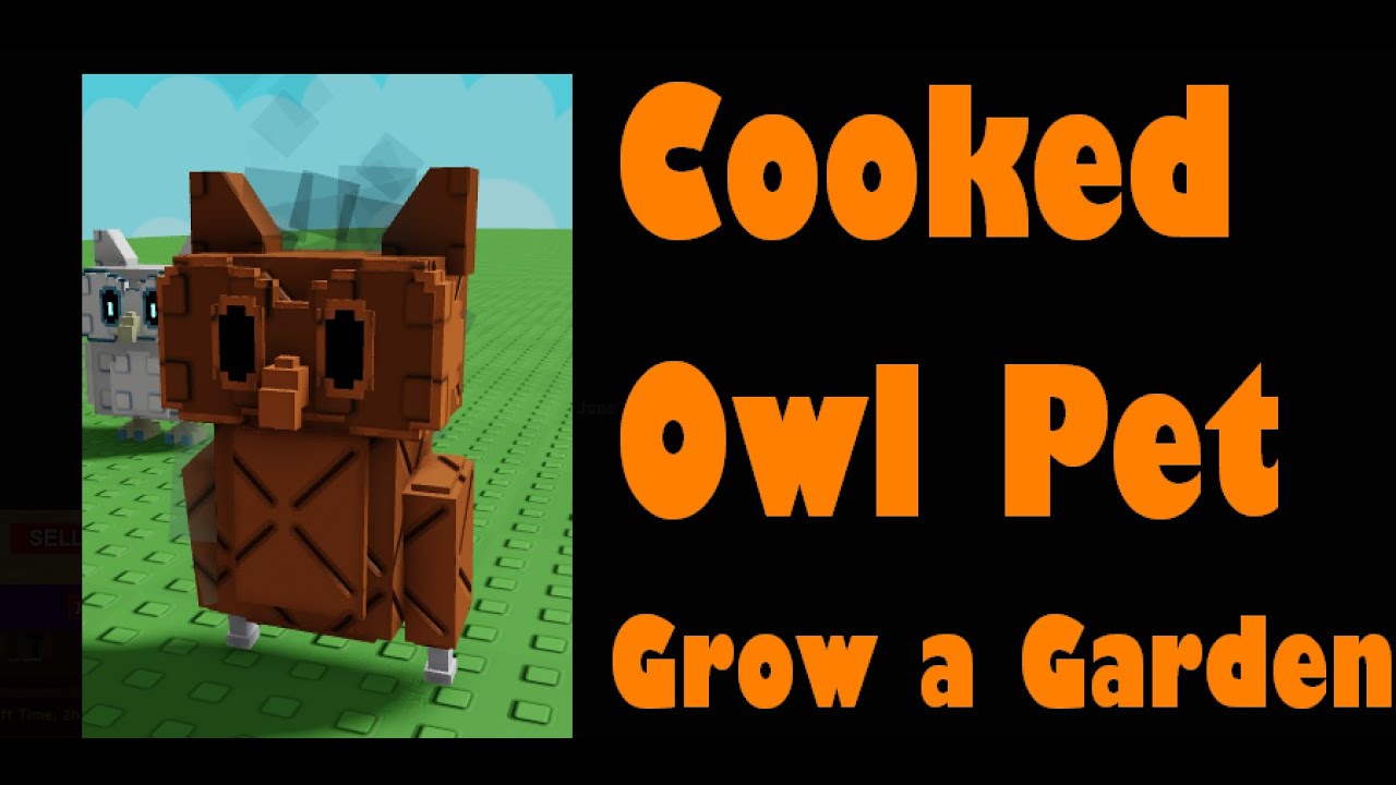 How to GET THE COOKED OWL PET in GROW A GARDEN! (Cooked Owl Pet Guide ...