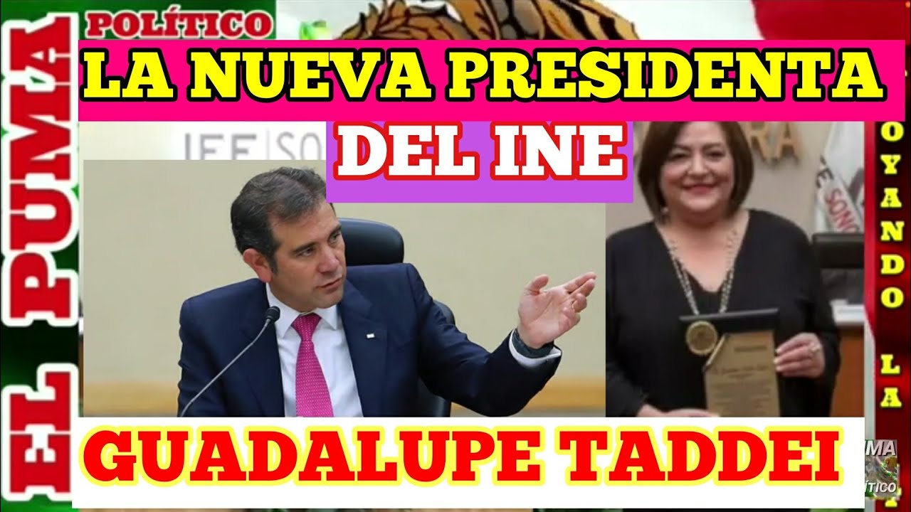 #GUADALUPE #TADDEI LA NUEVA #PRESIDENTA DEL #INE - YouTube
