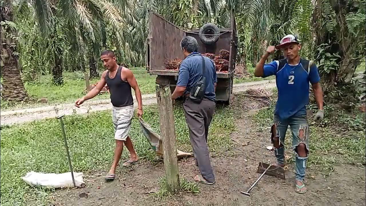 hari ini muwat 10 ton bos - YouTube