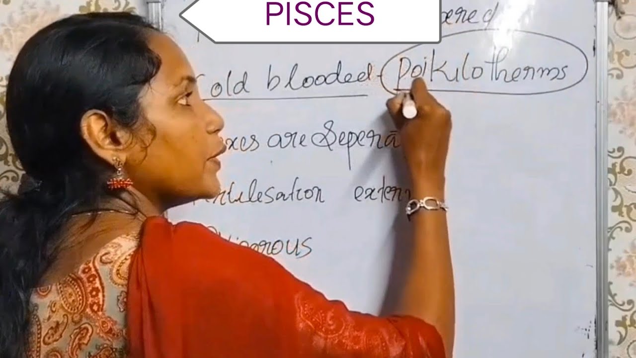 Superclass Pisces in chapter 2 Animal kingdom, plus one zoology#plus1 # ...