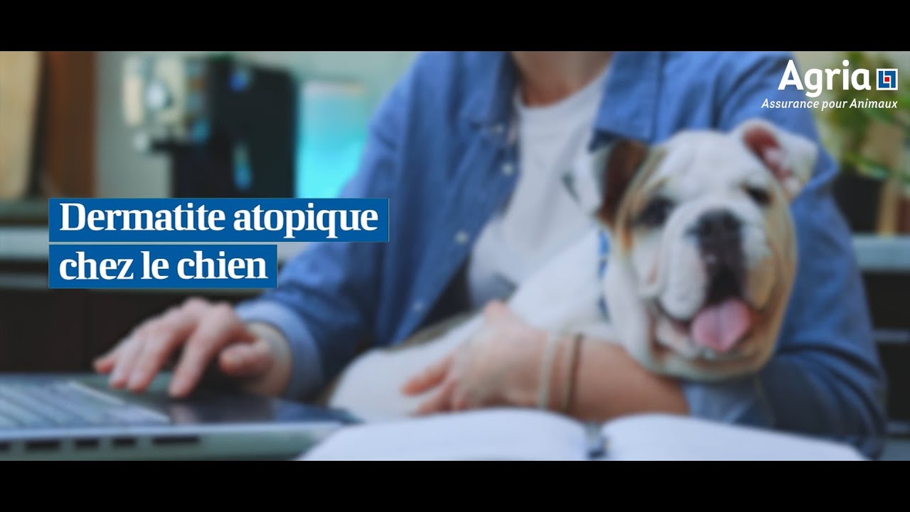 AGRIA - Dermatite atopique du chien - YouTube