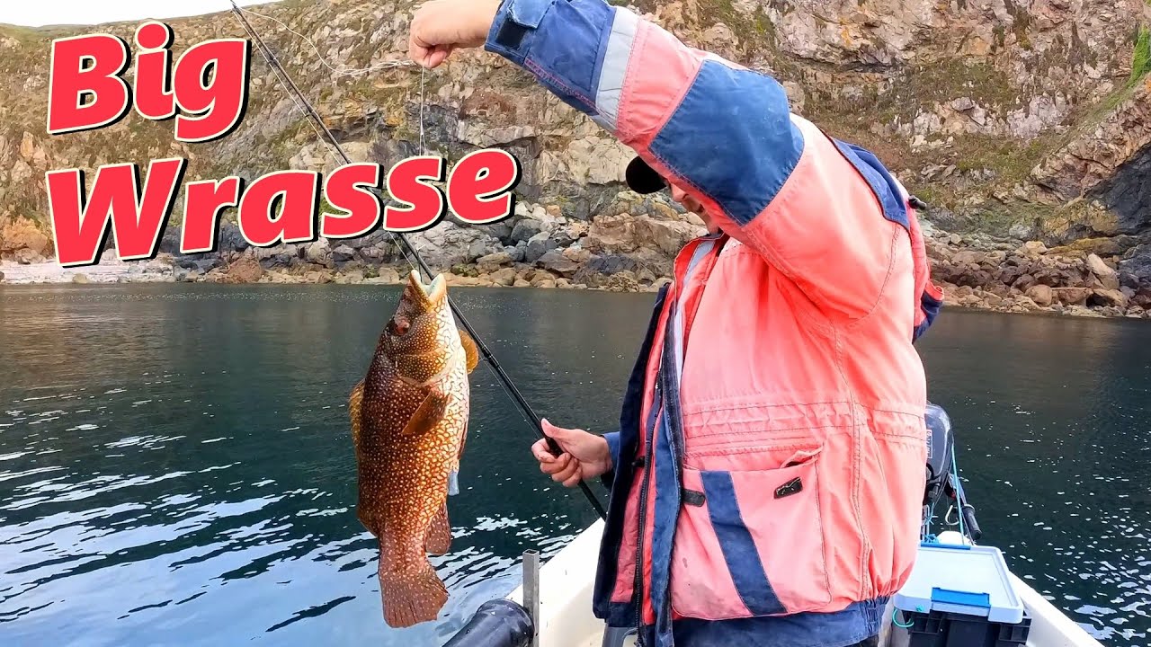 Can Rebecca Catch A Big Ballan Wrasse ? Fishing for BIG Wrasse - YouTube