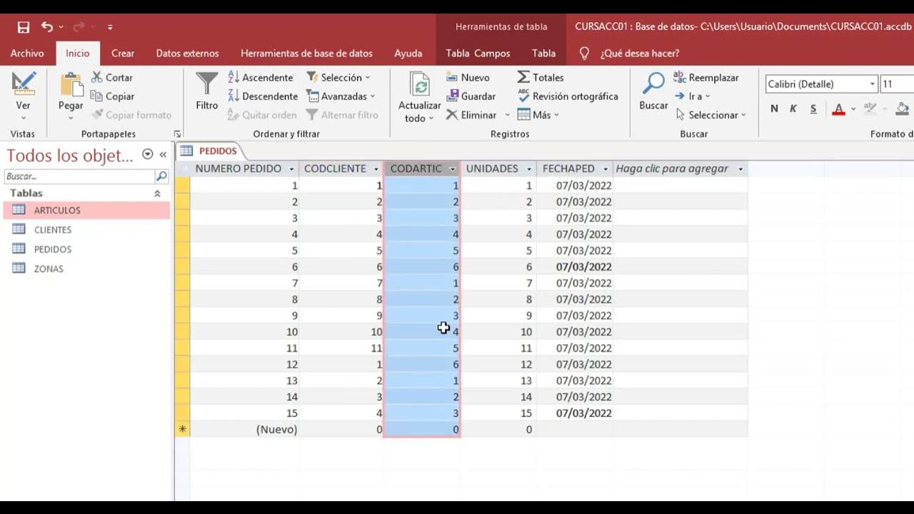 Access clase 4 | Informática ICATVer | (Ejercicio 3 resuelto) - YouTube