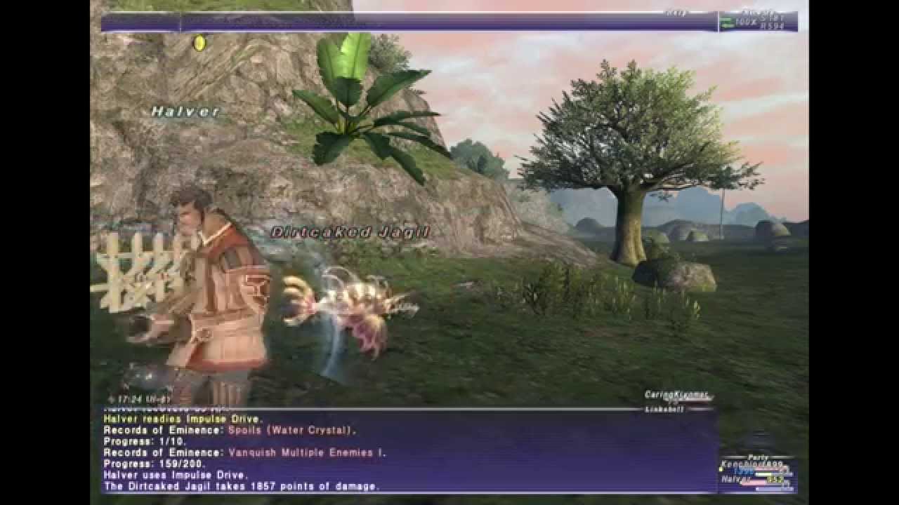FFXI - Testing out trust NPC Halver - YouTube