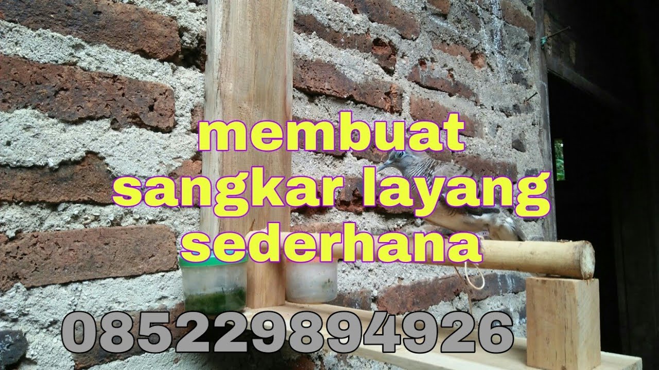 Membuat sangkar layang sederhana; perkutut lokal;nukhao chewah;merbuk ...