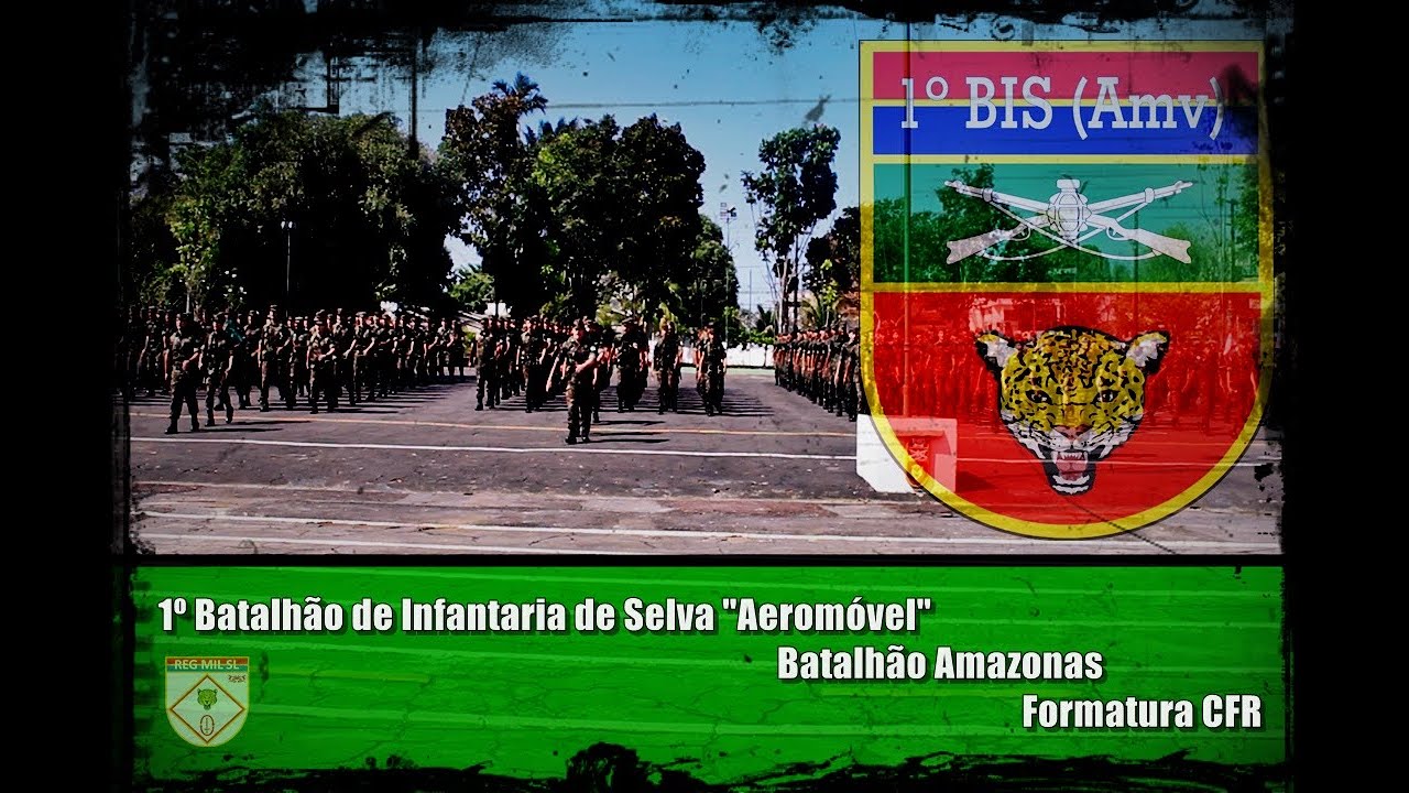 1º Batalhão de Infantaria de Selva (Aeromóvel) - Formatura Centro de ...