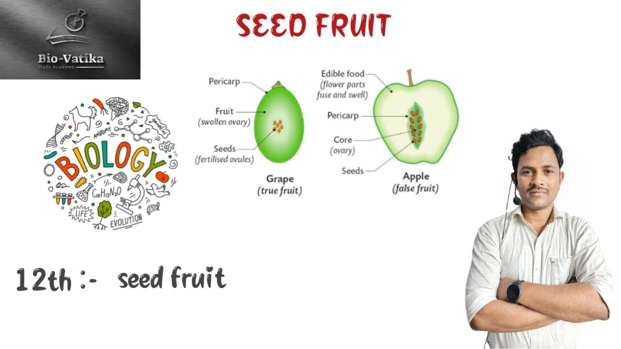 Bio vatika:- class 12th || seed fruit || explain || biology || - YouTube