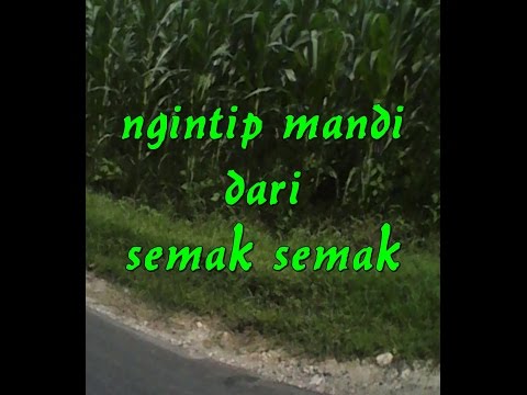 ngintip mandi dari semak-semak