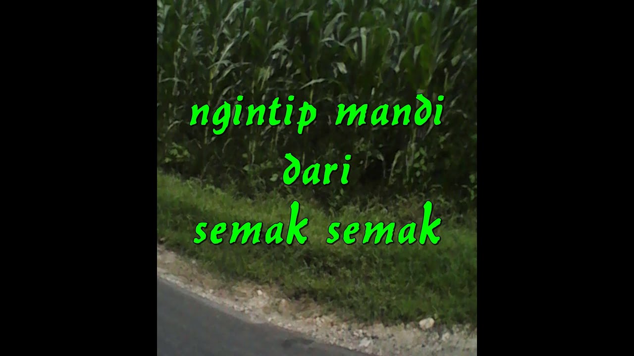 ngintip mandi dari semak-semak - YouTube