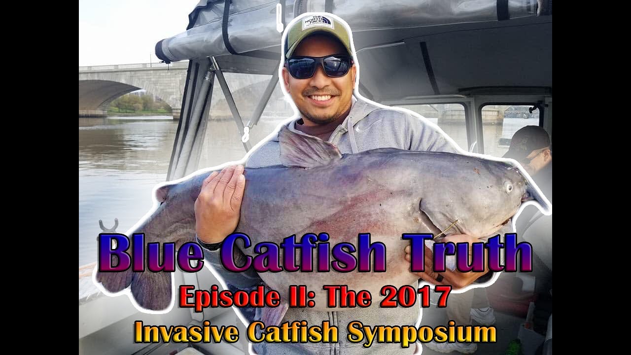 Blue Catfish Truth Episode 2: 2017 Invasive Catfish Symposium - YouTube