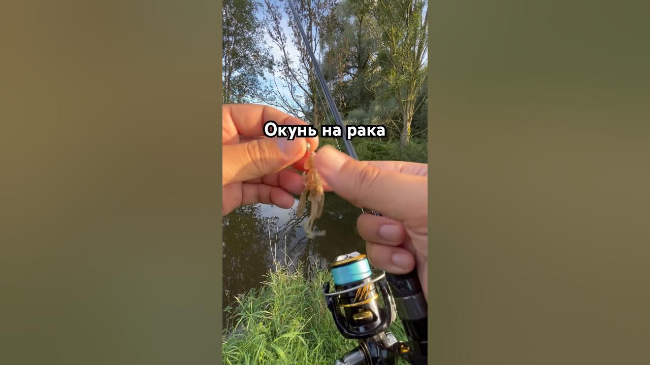 Окунь на рака #fishing #spinning #рибалка #рыбалка #спиннинг #спіннінг ...