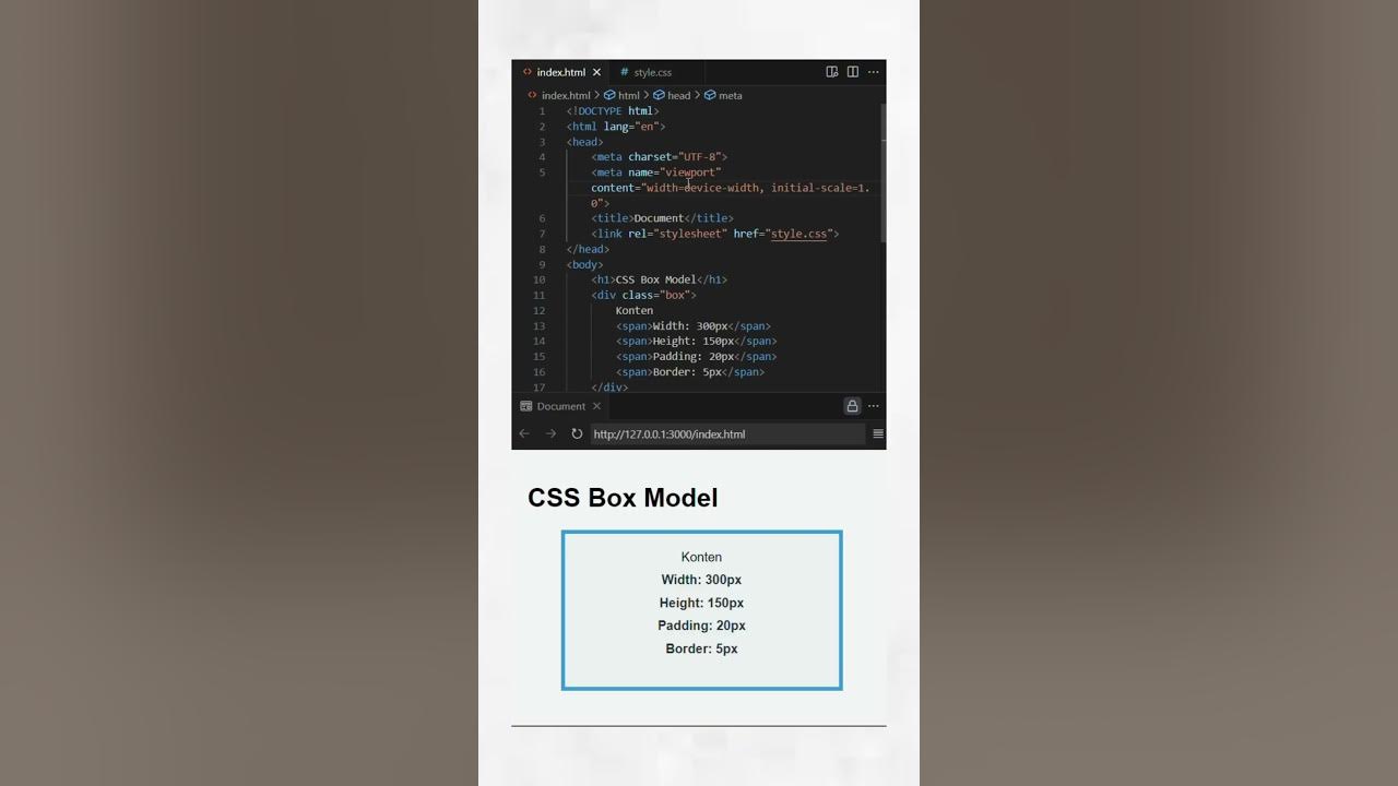 Belajar CSS #css #belajarcss - YouTube