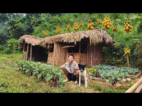 Growing vegetables with his dog and eating dinner: the country life of an orphan boy.
