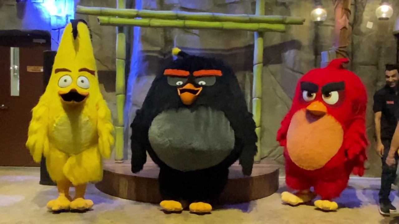 Angry Birds Dance Battle with Bomb at Angry Birds World in 4K | Doha ...