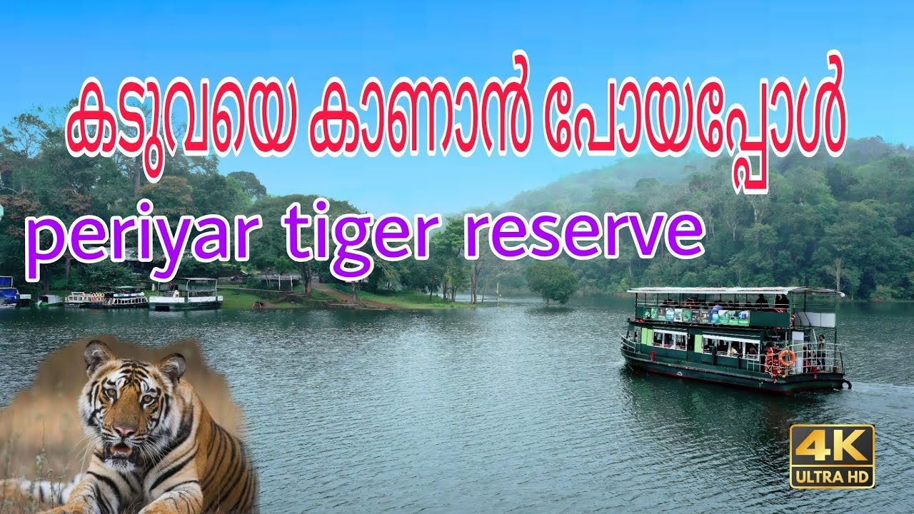 Thekkady boating tips and wild animals |periyar tiger reserve |idukki ...