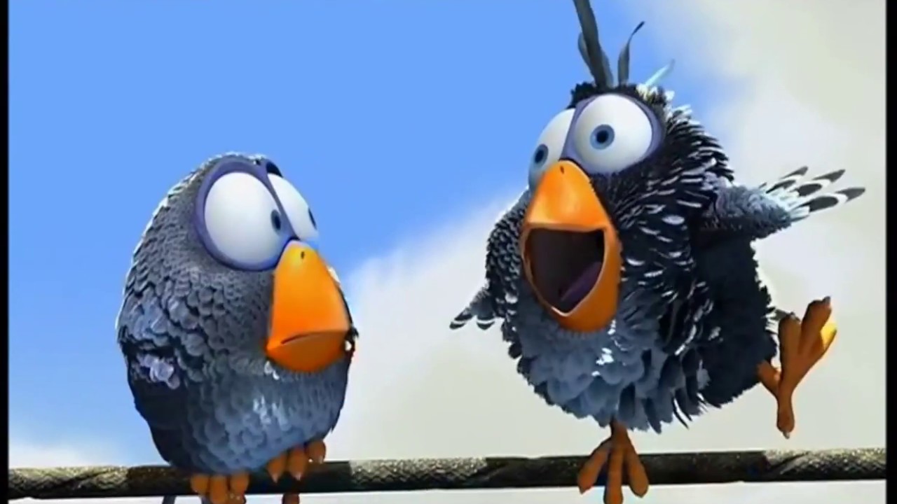 Angry Confused Bird - YouTube