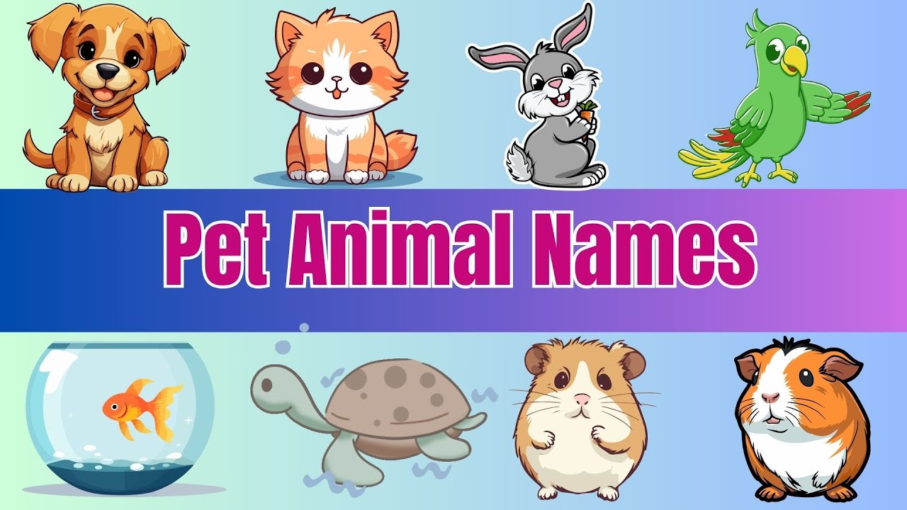 Pet Animals Names for Kids | Fun & Cute Pet Animals for Kids! Learn ...