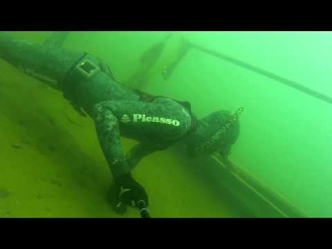 Apnoe Freediving Helenesee 2014 Hecht unter der Plattform, Germany