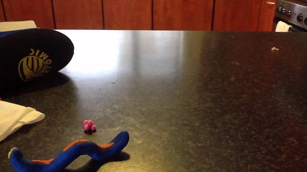 Stop motion: Life cycle of a Worm - YouTube