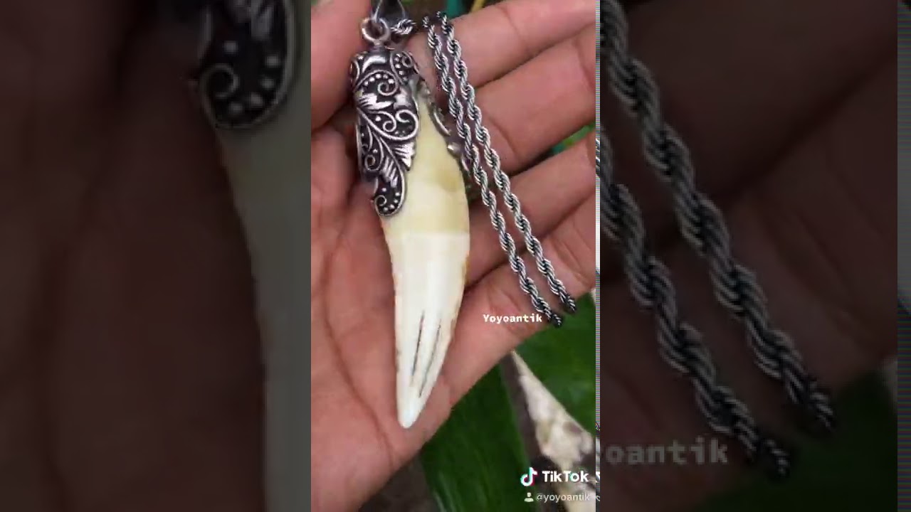 Liontin taring macan kumbang ring perak - YouTube