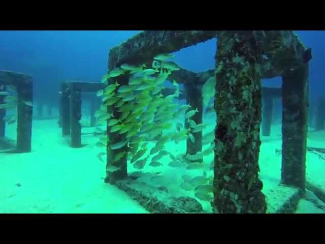 8 Stunning Underwater Wrecks And Sculptures You Can Find Diving Near ...