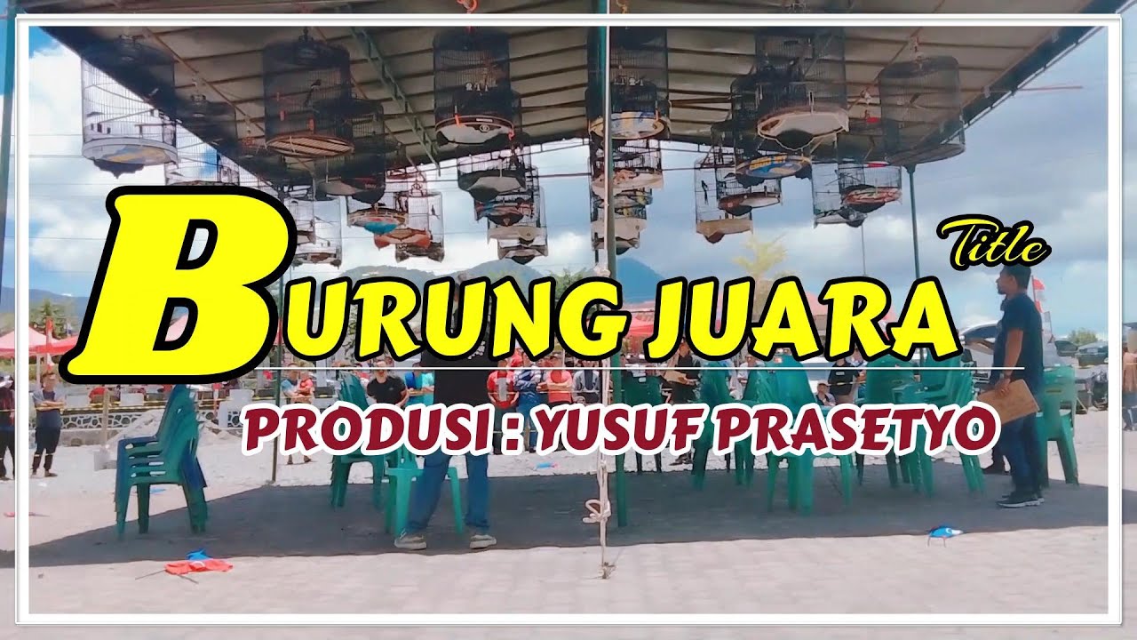 SANG JUARA (OFFICIAL) Lagunya Para Kicau Mania - YouTube
