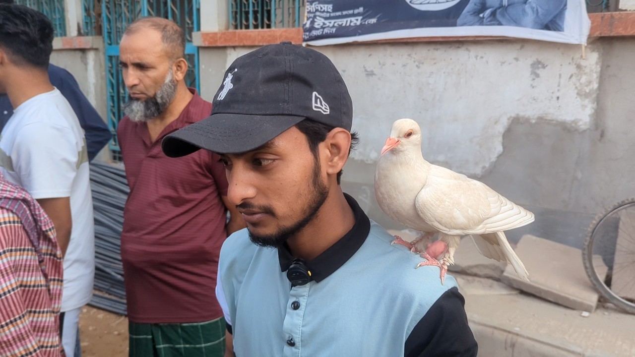 Shukrabar Mane Jomjomat Dokkhin Khan Bazar Kobutor Haat || RS Pigeon ...