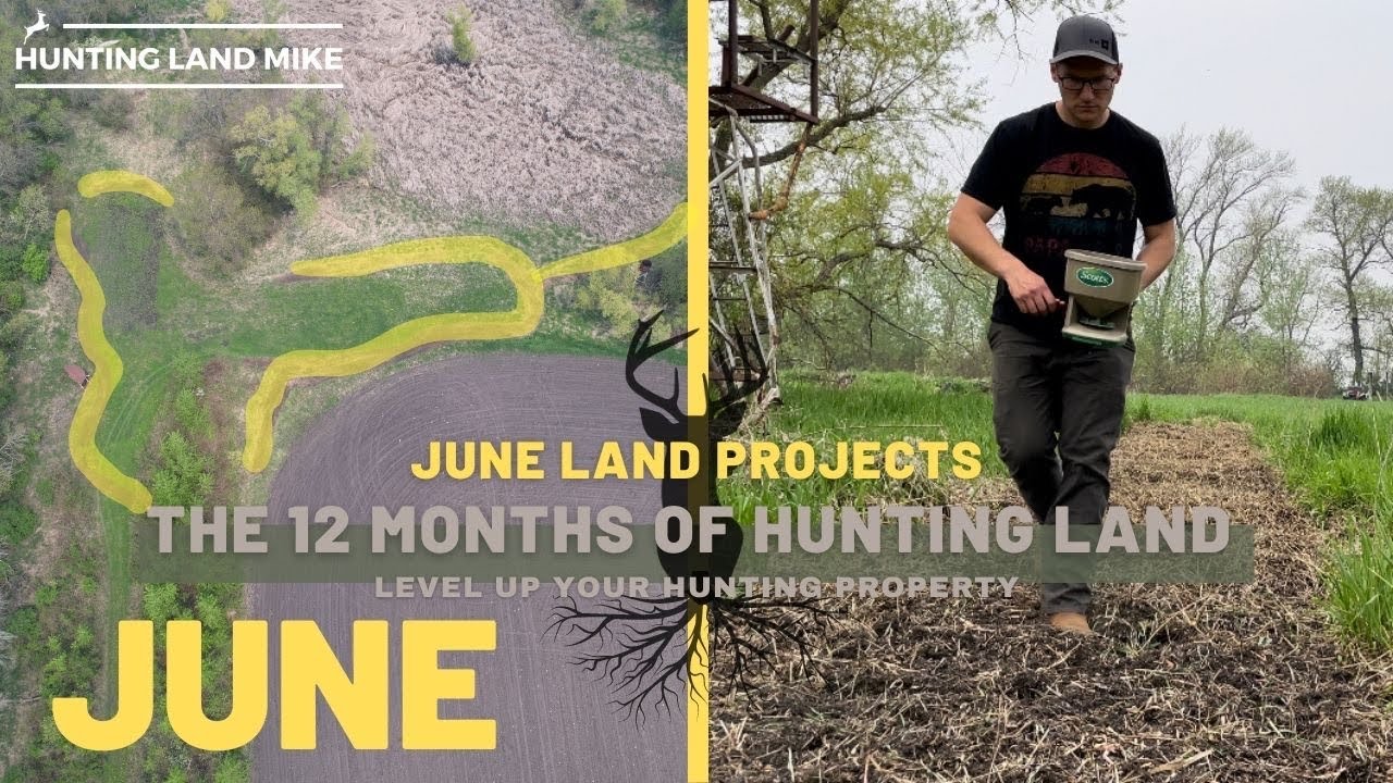 June Land Projects | 12 Months Of Hunting Land | Screen, Stands, Water ...