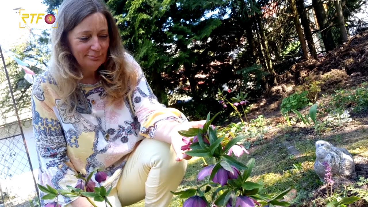 Kräuterrezepte von Annette Knell: Heilkräuter nutzen, Kräutergarten ...