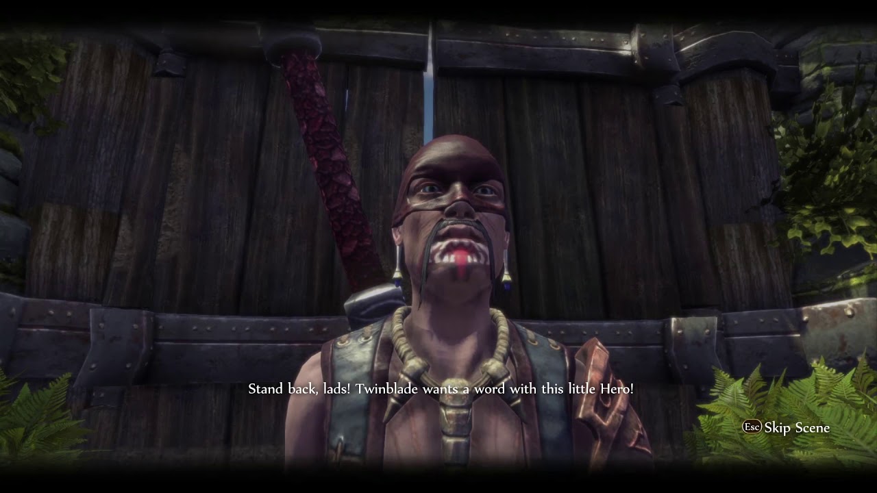 Fable: Playthrough Part: 9 - Twin Blade and my sister - YouTube