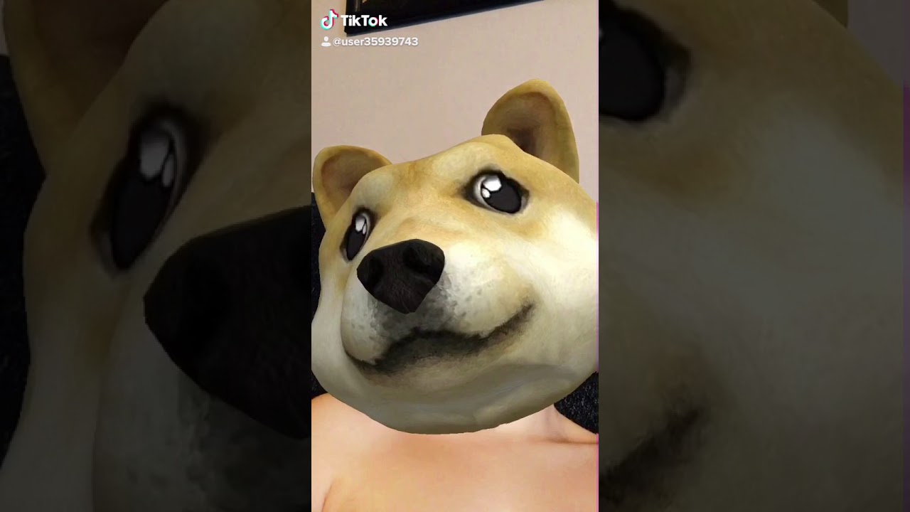 Doggie - YouTube