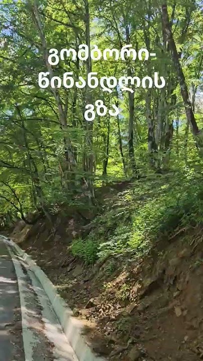 ლილეს მე 6 დ კლასის ექსკურსია გომბორის გზა უჯარმიდან წინანდლისკენ
