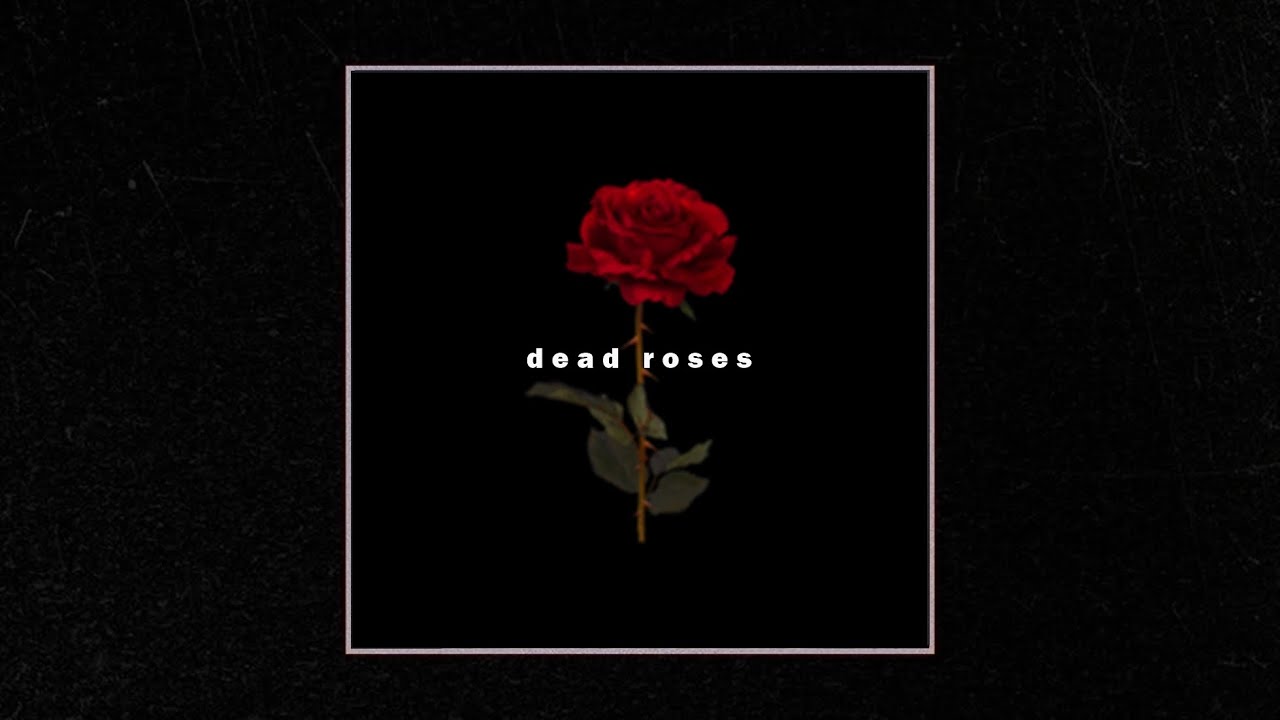 Free Sad Type Beat - "Dead Roses" | Emotional Rap Piano Instrumental ...
