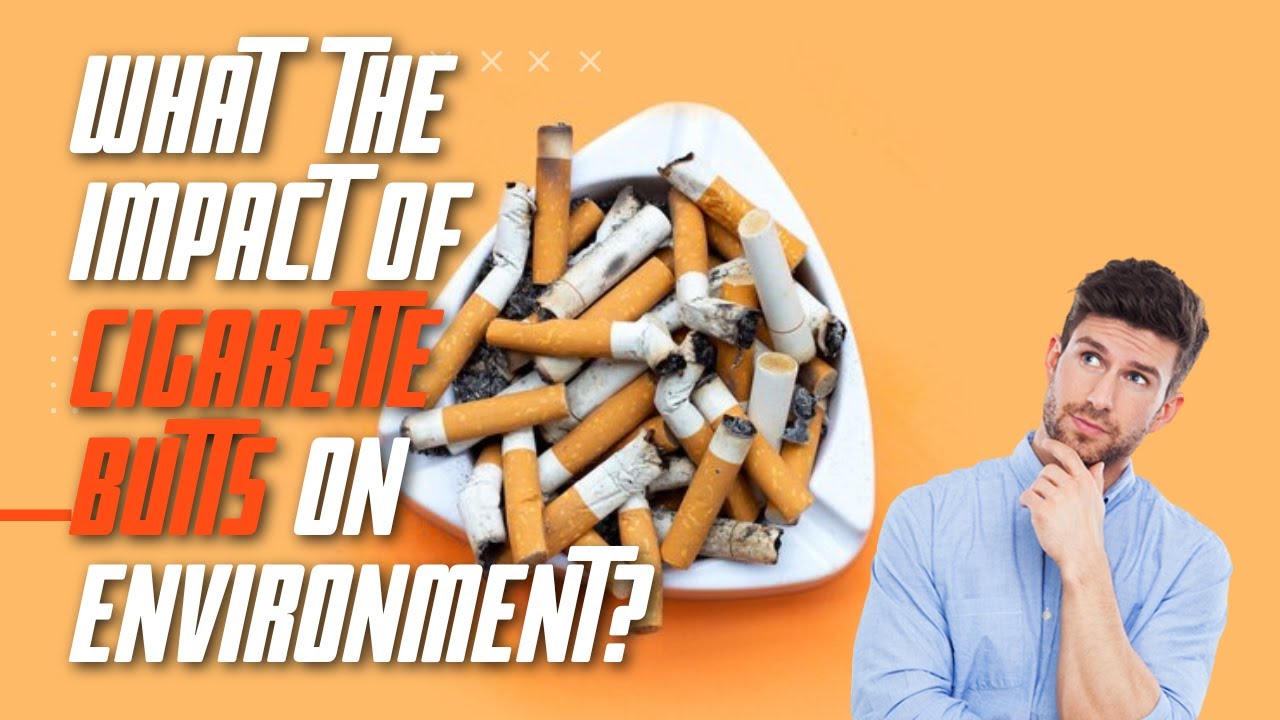 Exploring the Environmental Impact of Cigarette Butts.!! - YouTube