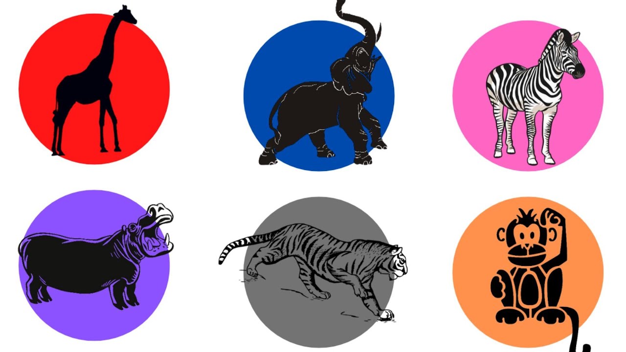 Hewan Herbivora Kuda, Gajah, Badak, Zebra, Rusa, Kuda Nil #1 - YouTube