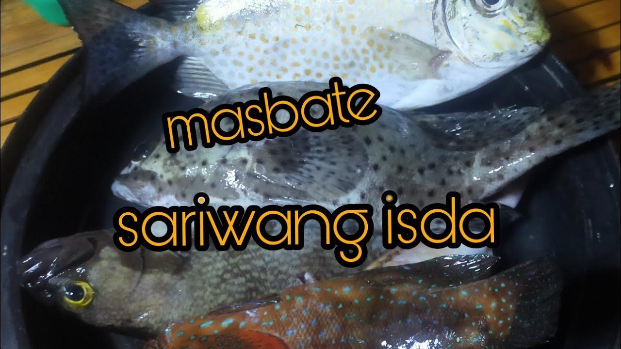 FRESH FISH DANGUET | MADAMING SARIWANG ISDA DITO SA MASBATE | jobeth kitchen - YouTube