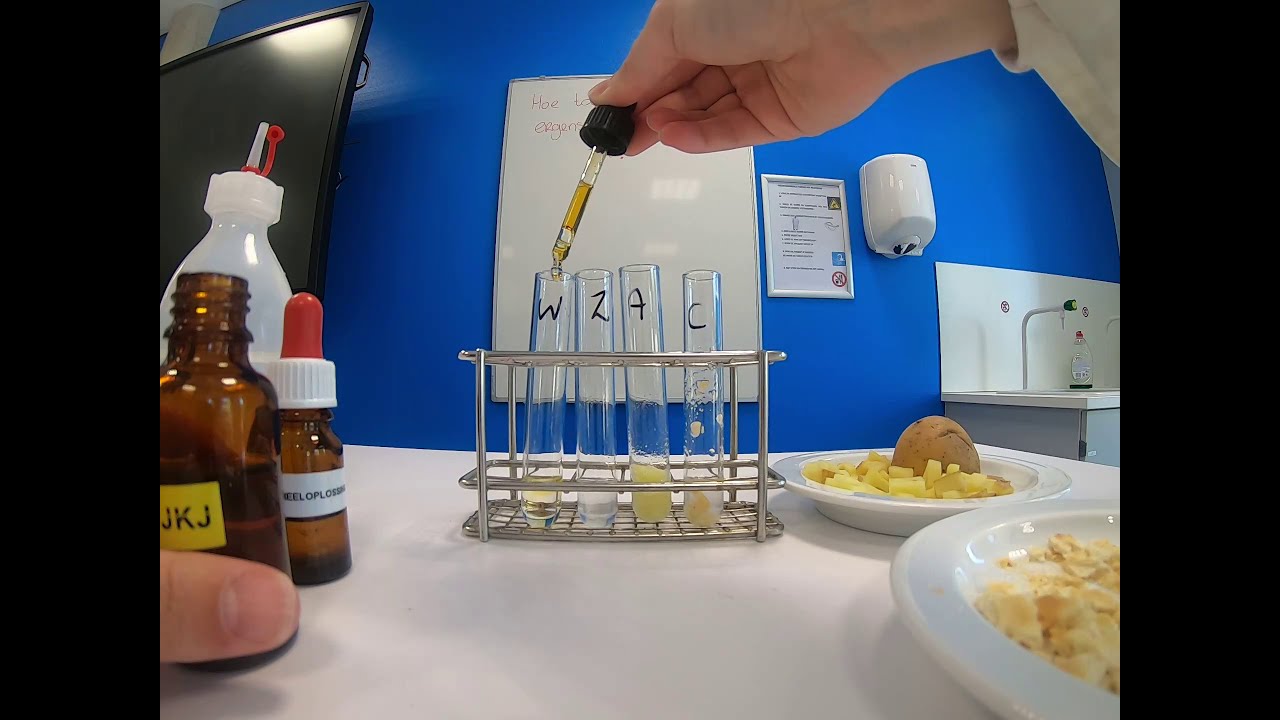 Aantonen van zetmeel? Uitleg en voorbeelden! - YouTube