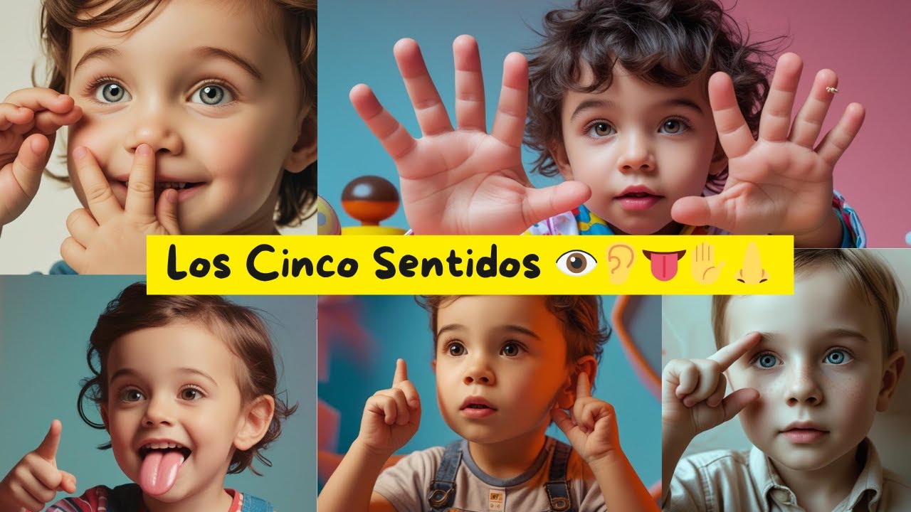 La Fiesta de los Cinco Sentidos | Canción Infantil Educativa y ...