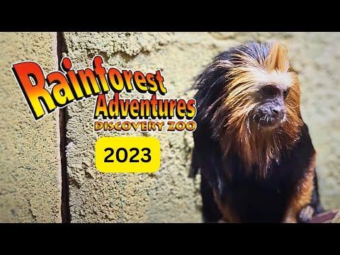 Rainforest Adventures Zoo Pigeon Forge, TN