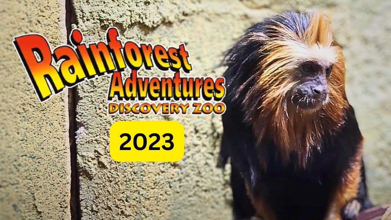 Rainforest Adventures Zoo Pigeon Forge, TN - YouTube