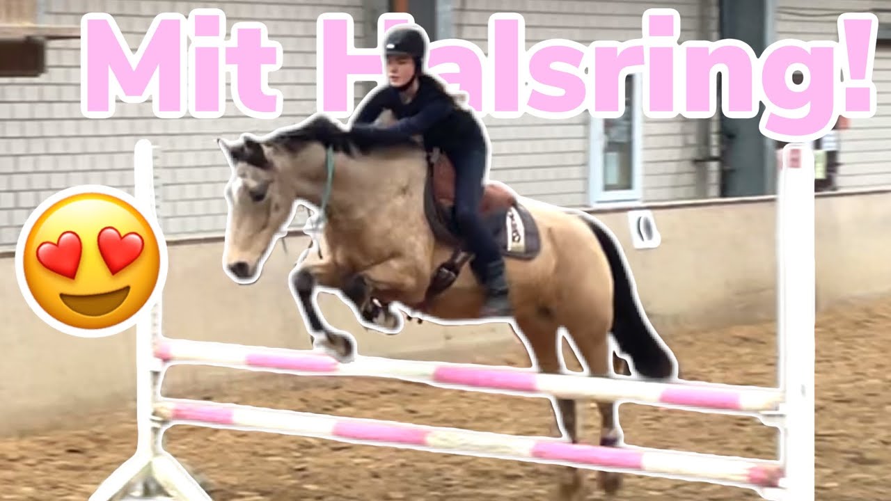 SPRINGEN OHNE SATTEL UND TRENSE!😱 GEHT DAS GUT?! - YouTube