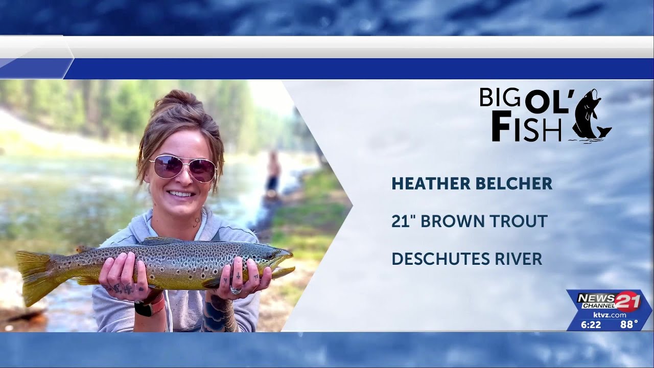 Big Ol' Fish: Nice catches this week - YouTube