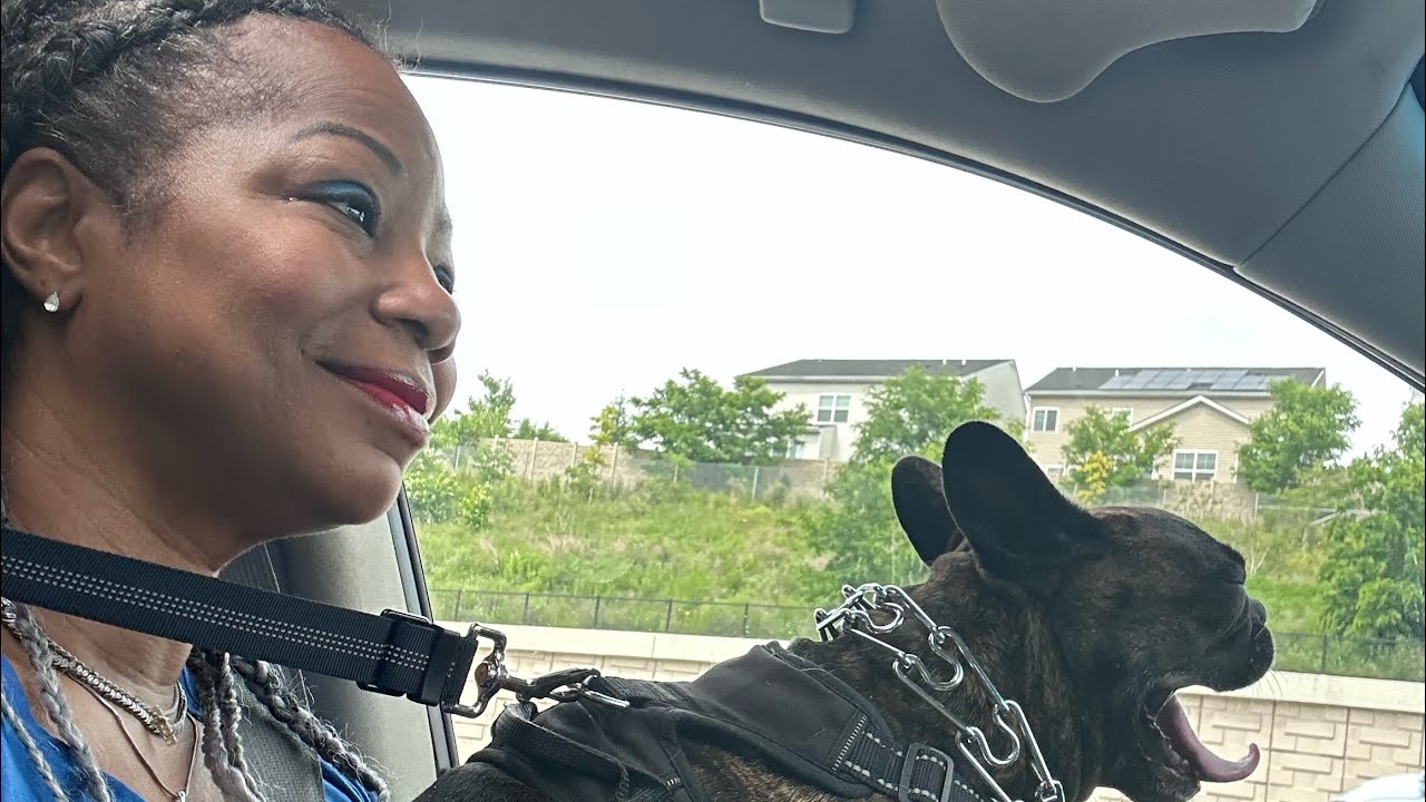 Being watchful - YouTube