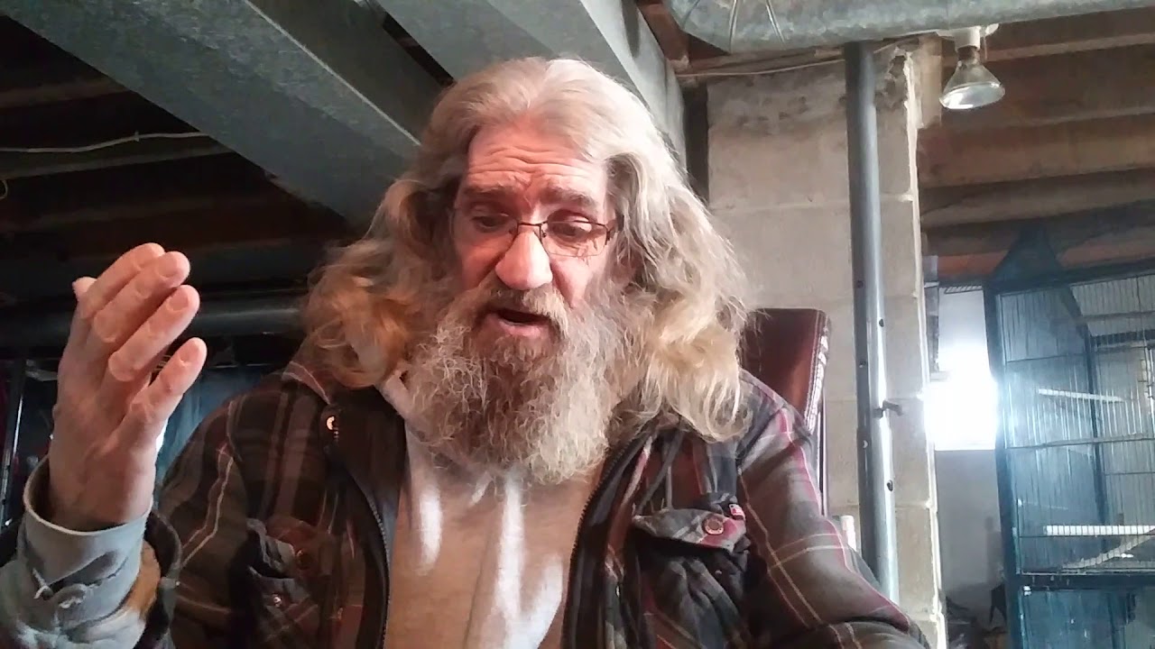 Ted's Afternoon stories The Push cart war Chapter 5 Wenda Gambling Sees ...