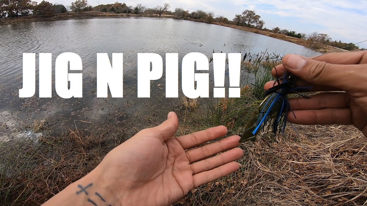 Bass Fishing a Pond with the Jig N Pig | A Numbers Day - YouTube