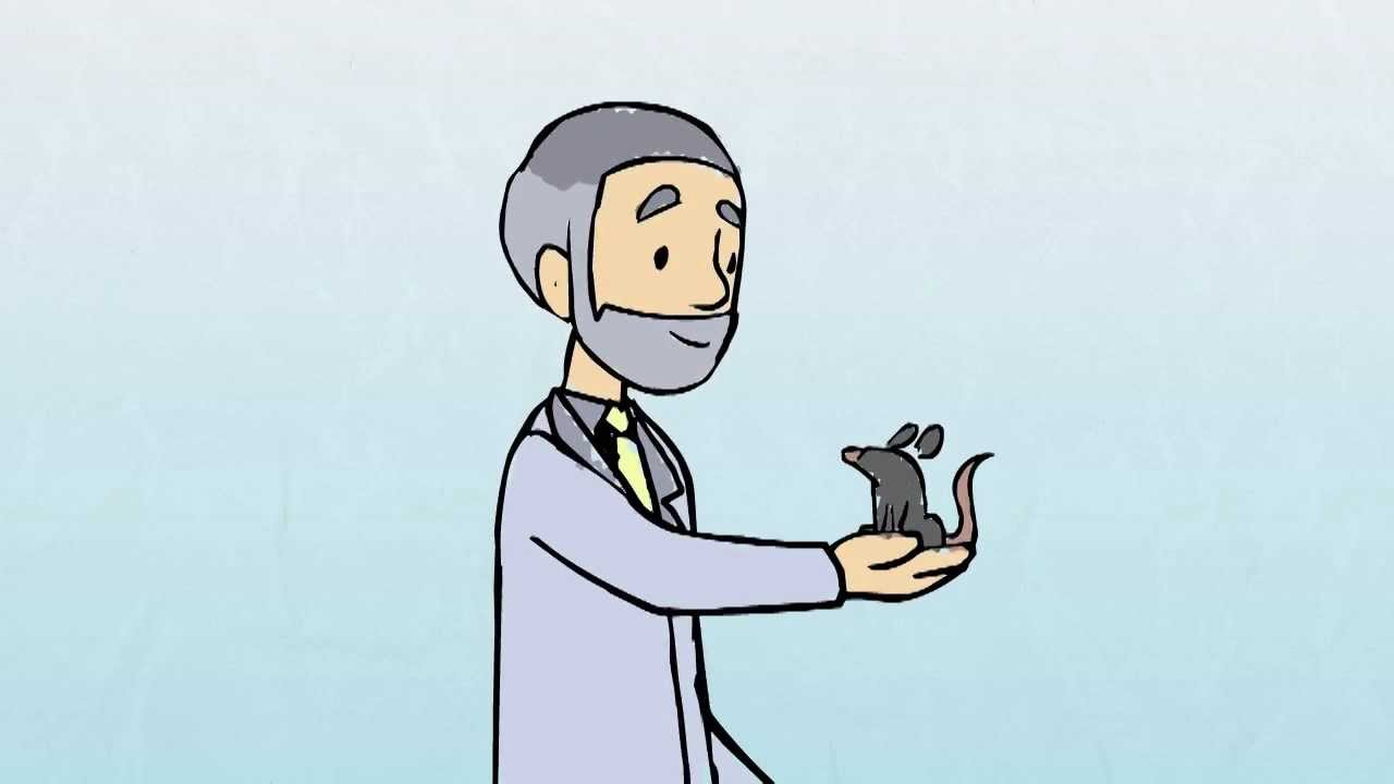 Mendability Helps you do Sensory Enrichment with your child with autism ...