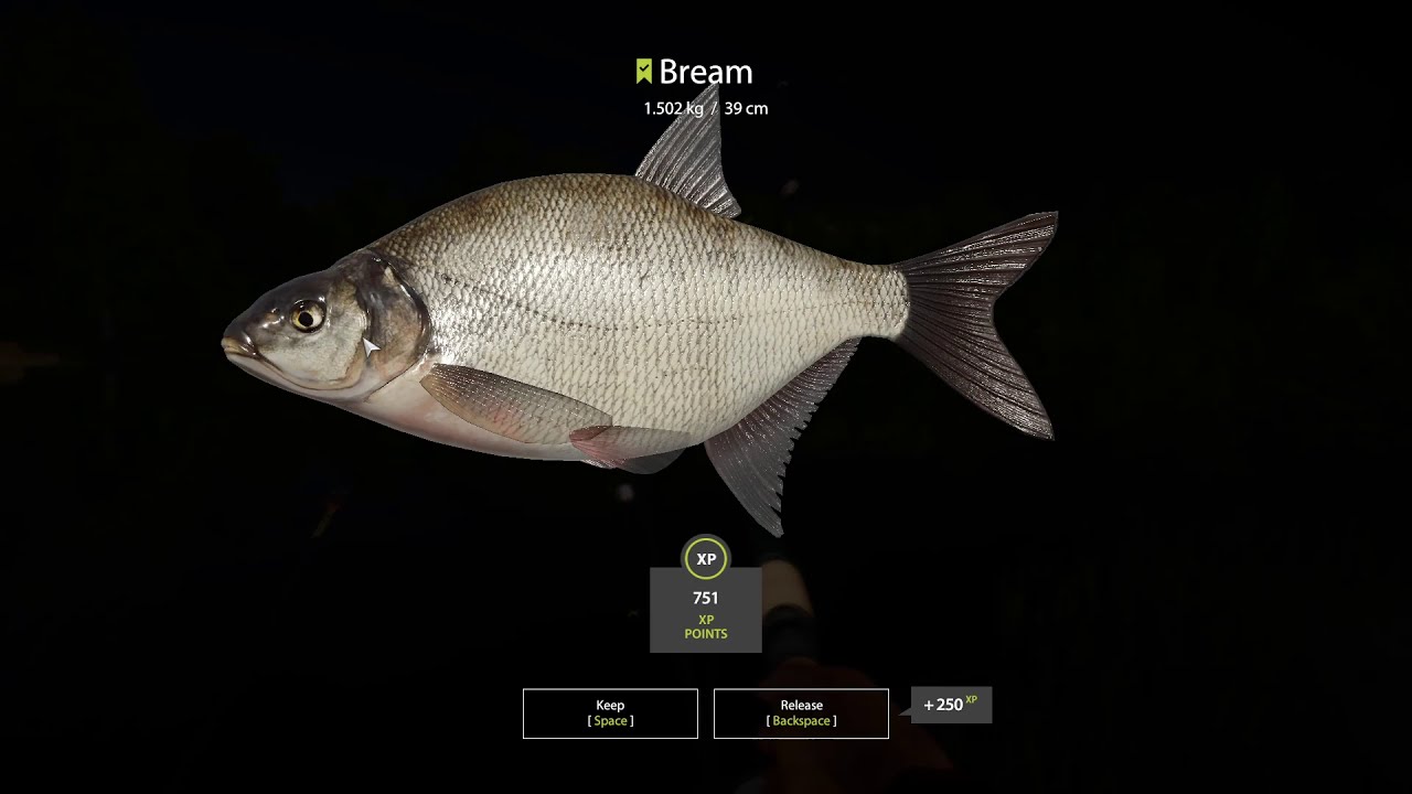 Russian Fishing 4 bream deverika I deo - YouTube