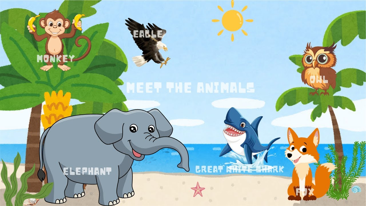 Meet the Animals 15 min | Elephant, Great White Shark, Fox, Eagle ...