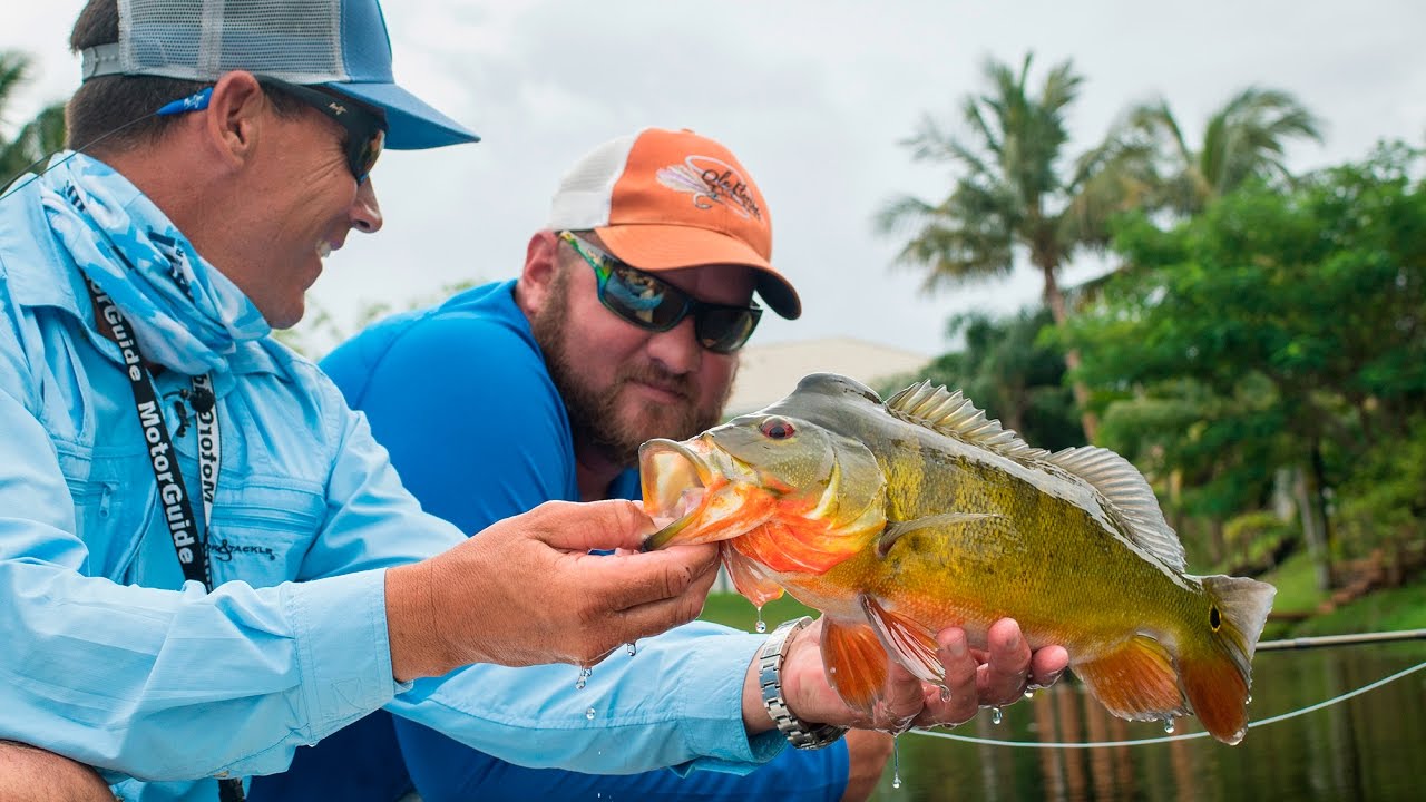 Reel Time Florida Sportsman - Peacock Bass and Clown Knife Fish ...