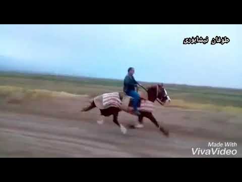 طوفان نیشابوری